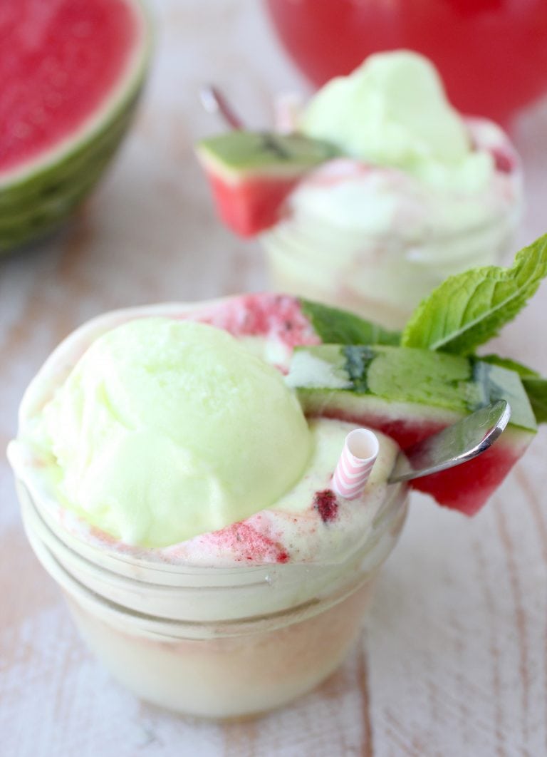Watermelon Lime Sherbet Float Recipe - WhitneyBond.com