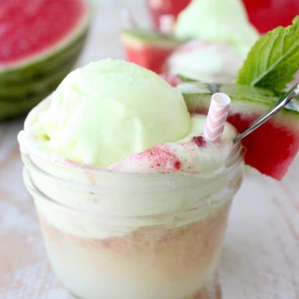 Watermelon Lime Sherbet Float Recipe - WhitneyBond.com