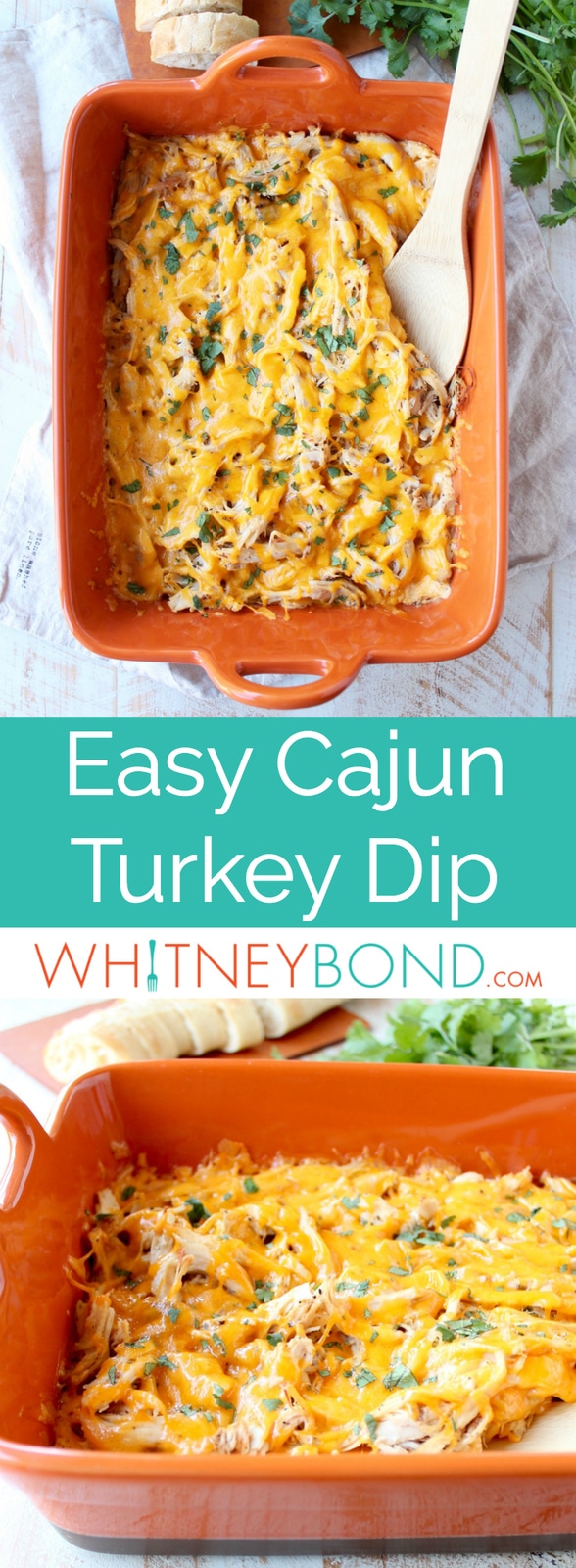 Cheese Dip with Cajun Turkey