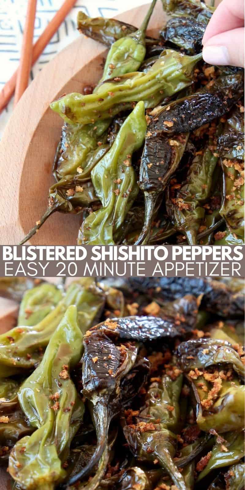 Shishito Peppers Recipe with Soy Ginger Sauce - WhitneyBond.com