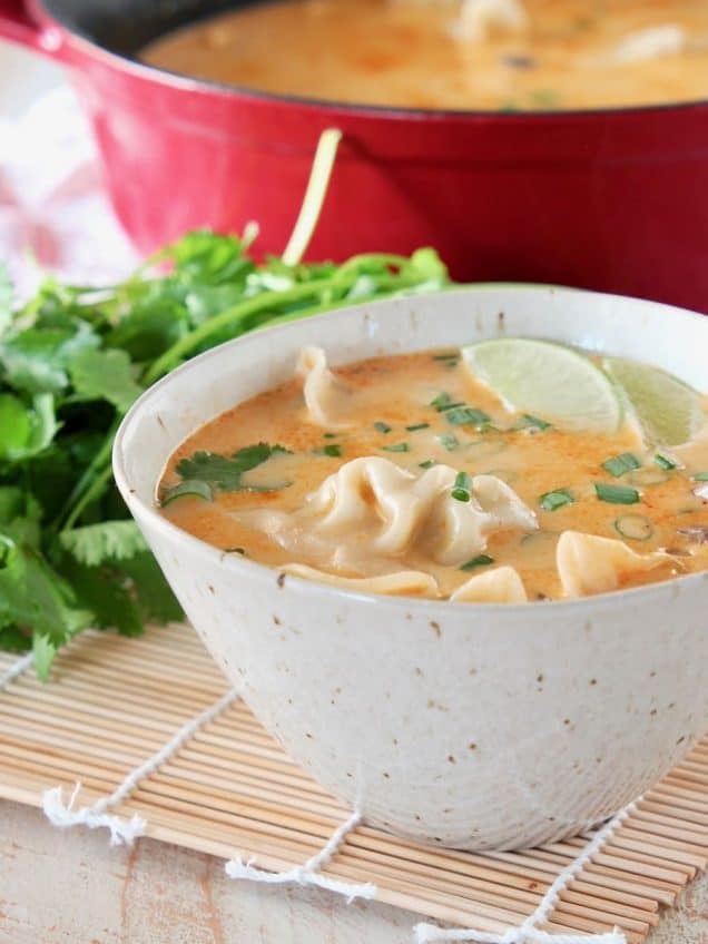 Gyoza Soup (Easy 15 Minute Recipe)