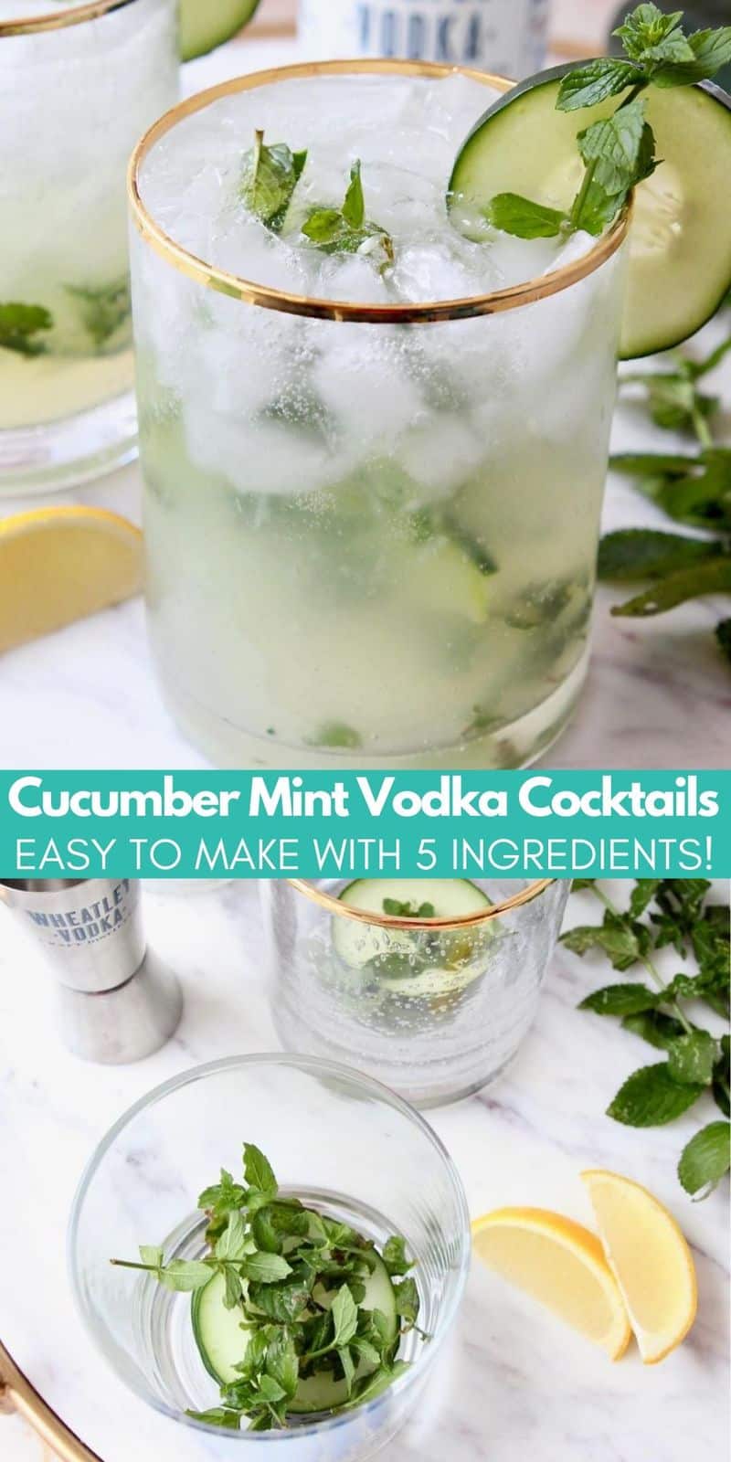 Cucumber Mint Vodka Cocktail Recipe - WhitneyBond.com