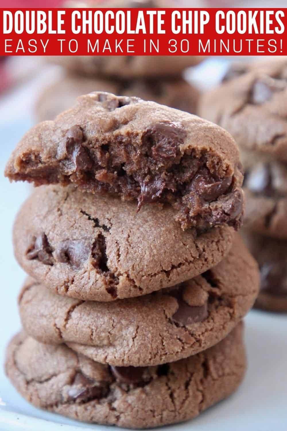 The BEST Chewy Double Chocolate Chip Cookies - WhitneyBond.com