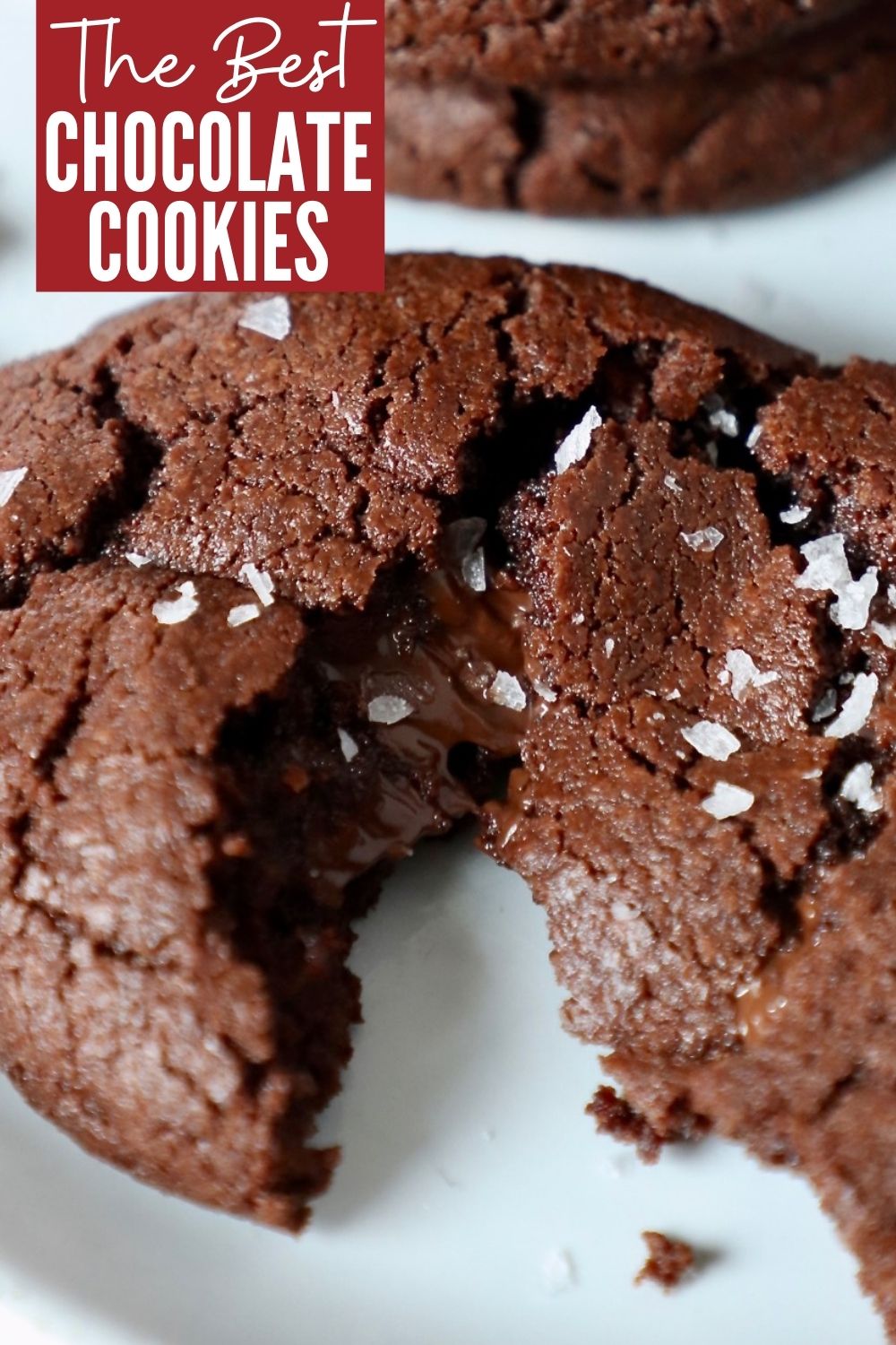 Soft and Chewy Chocolate Cookies Recipe