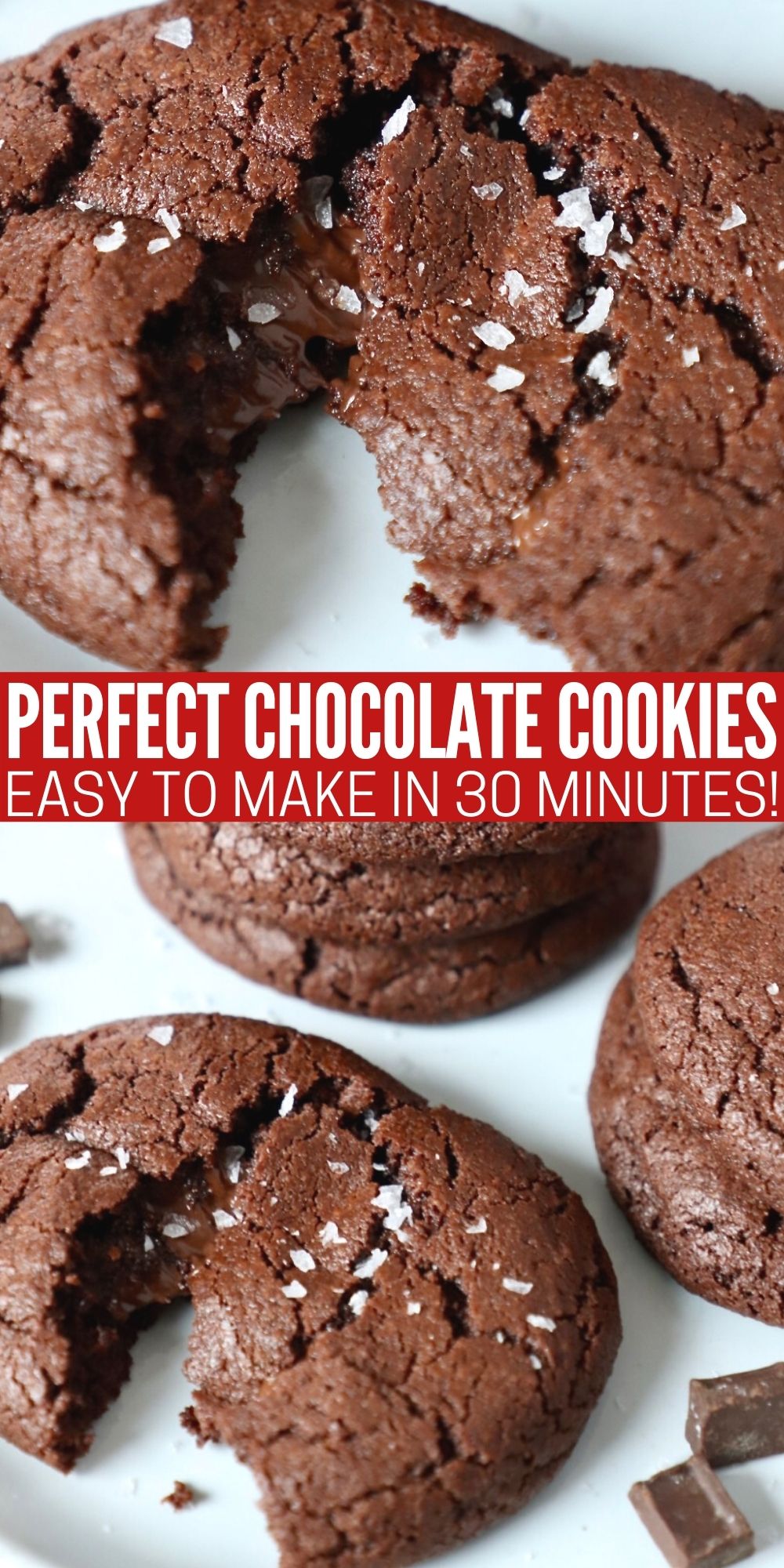 Soft and Chewy Chocolate Cookies Recipe
