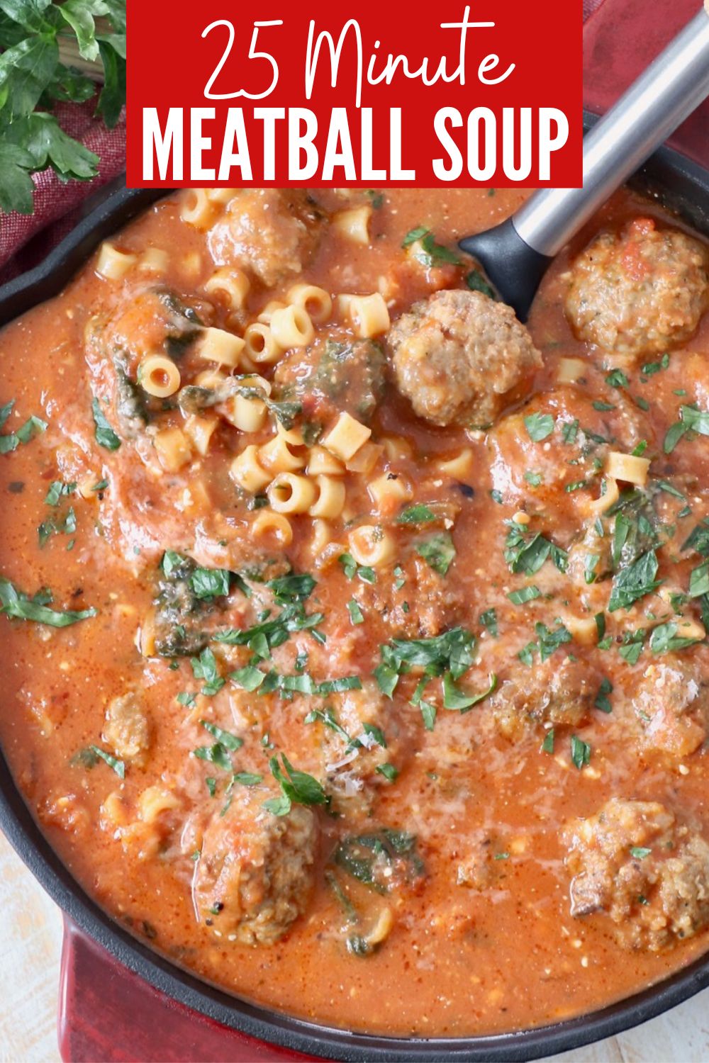 Italian Meatball Soup Recipe