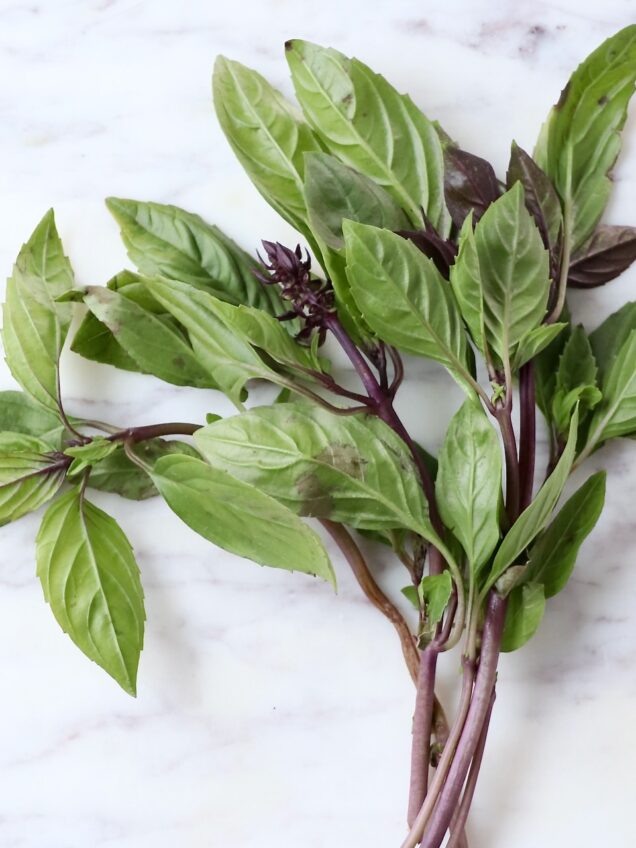 Ingredient Guide Archives