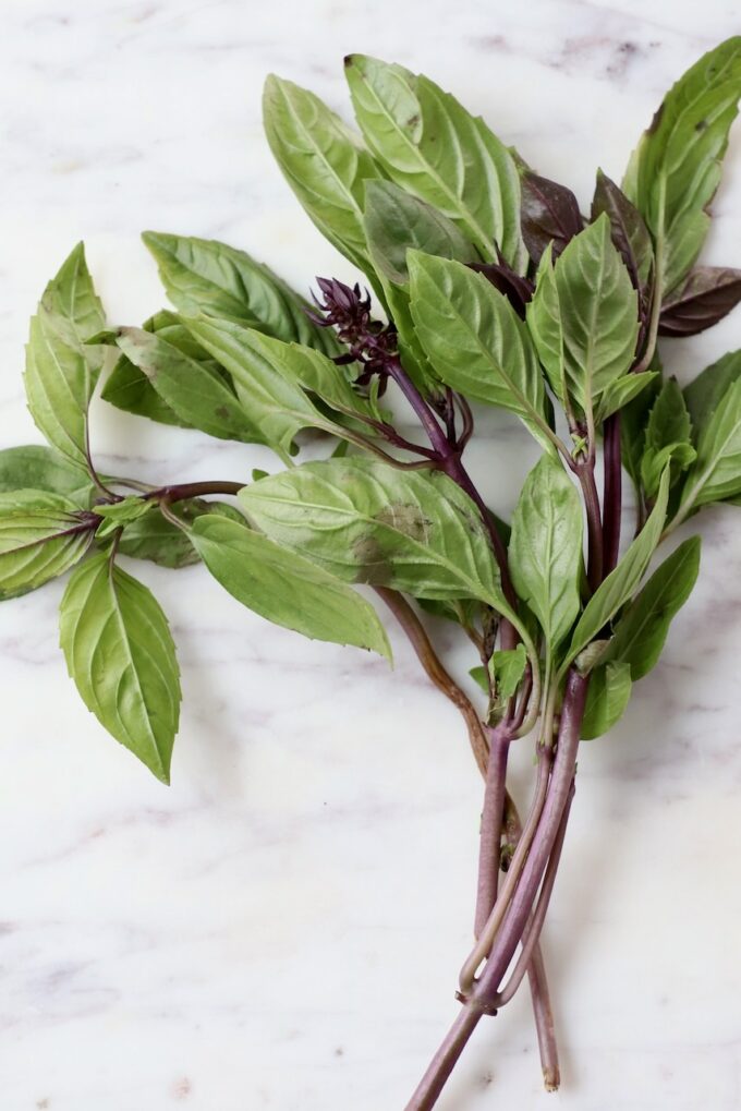 What is Thai Basil? + How To Use It In Recipes