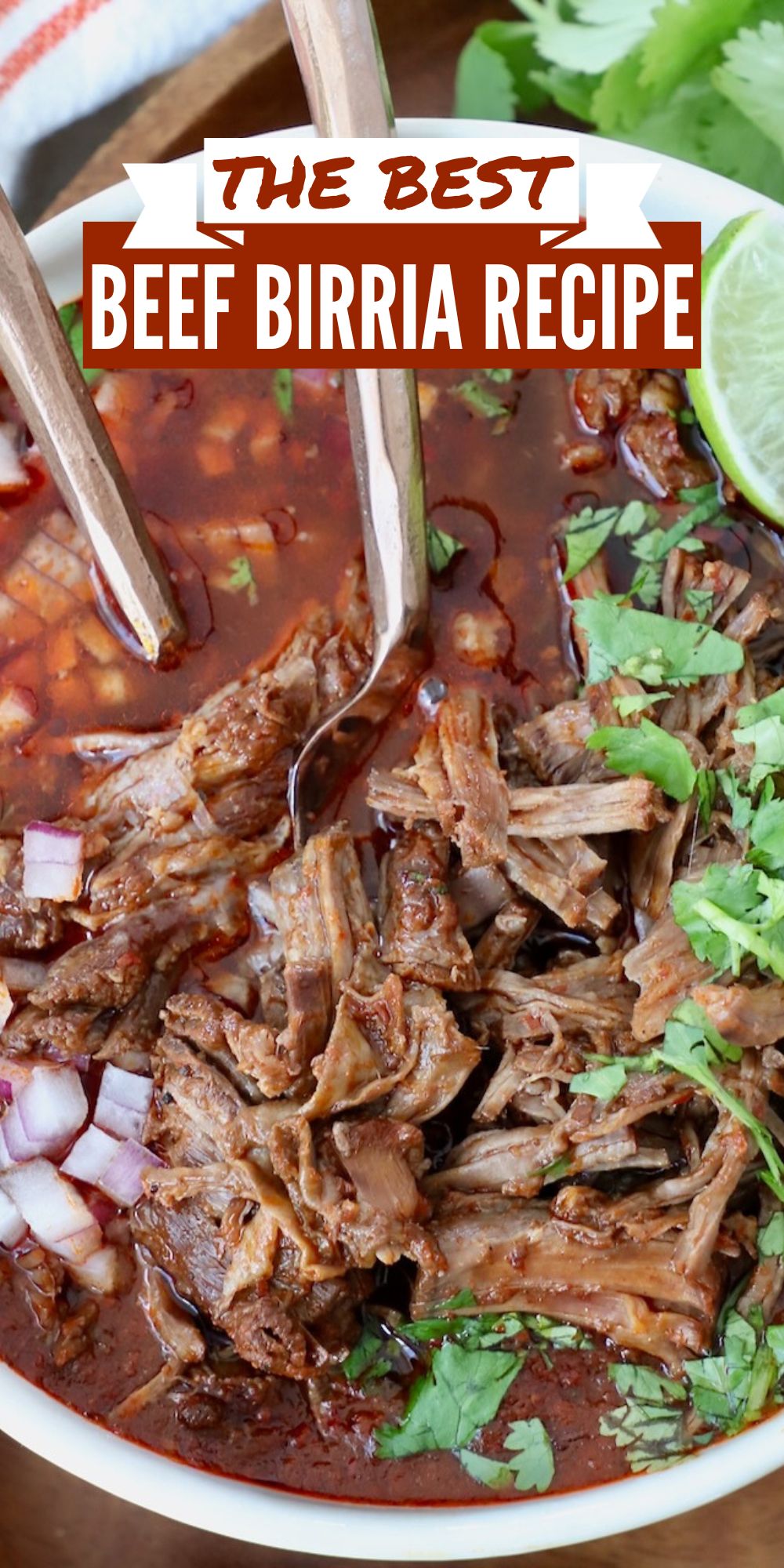 Mexican Beef Birria Recipe