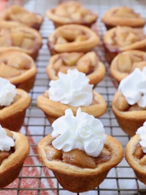 Mini Apple Pies (Easy Recipe!)