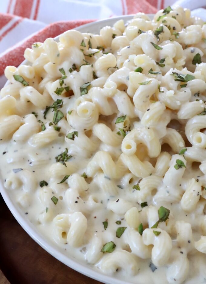 Creamy Cavatappi Recipe