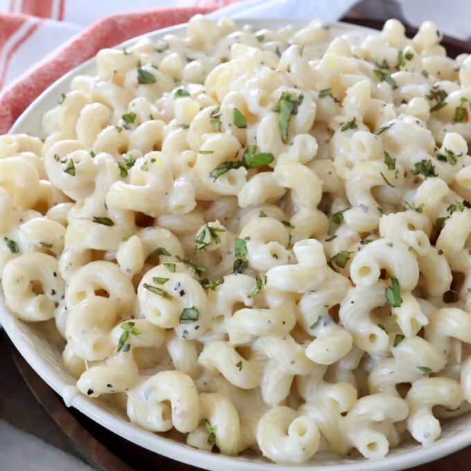 Creamy Cavatappi Recipe