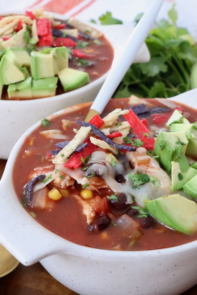 Southwest Chicken Soup Recipe