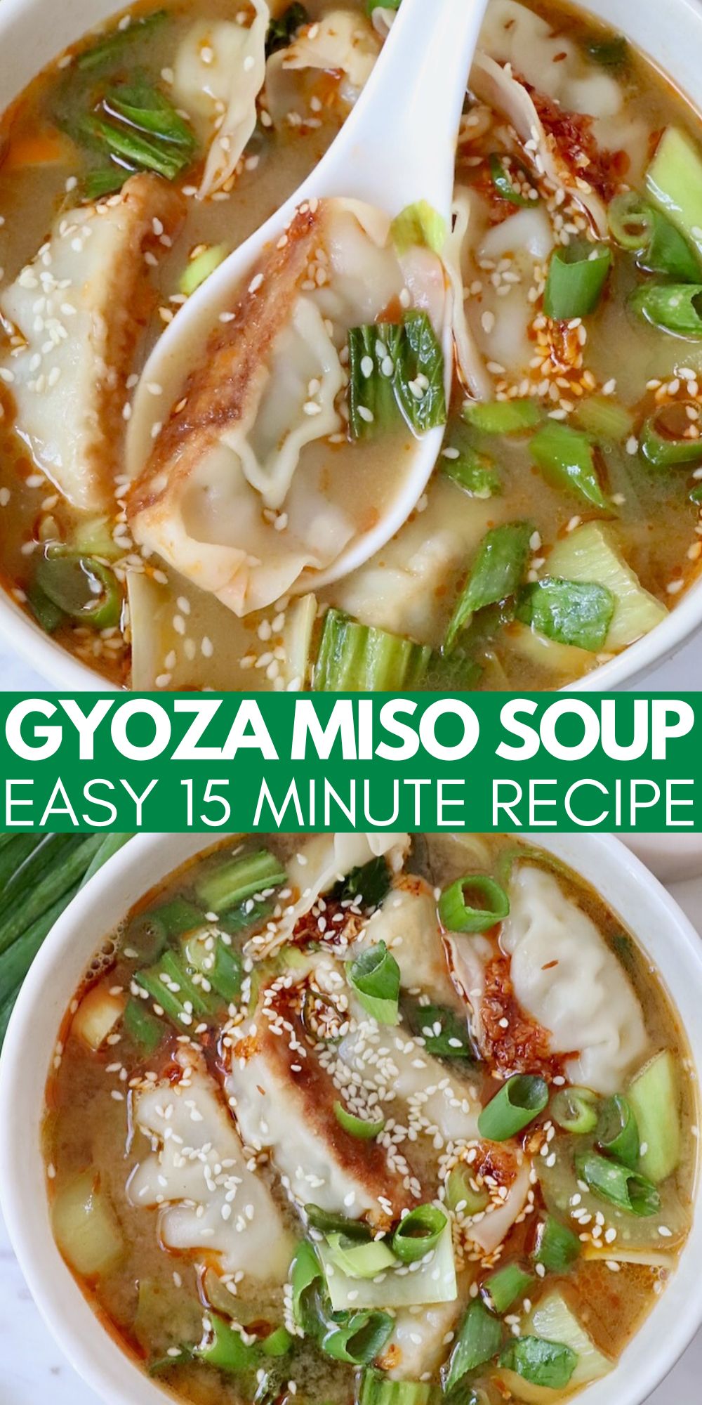 Gyoza Soup (Easy 15 Minute Recipe)
