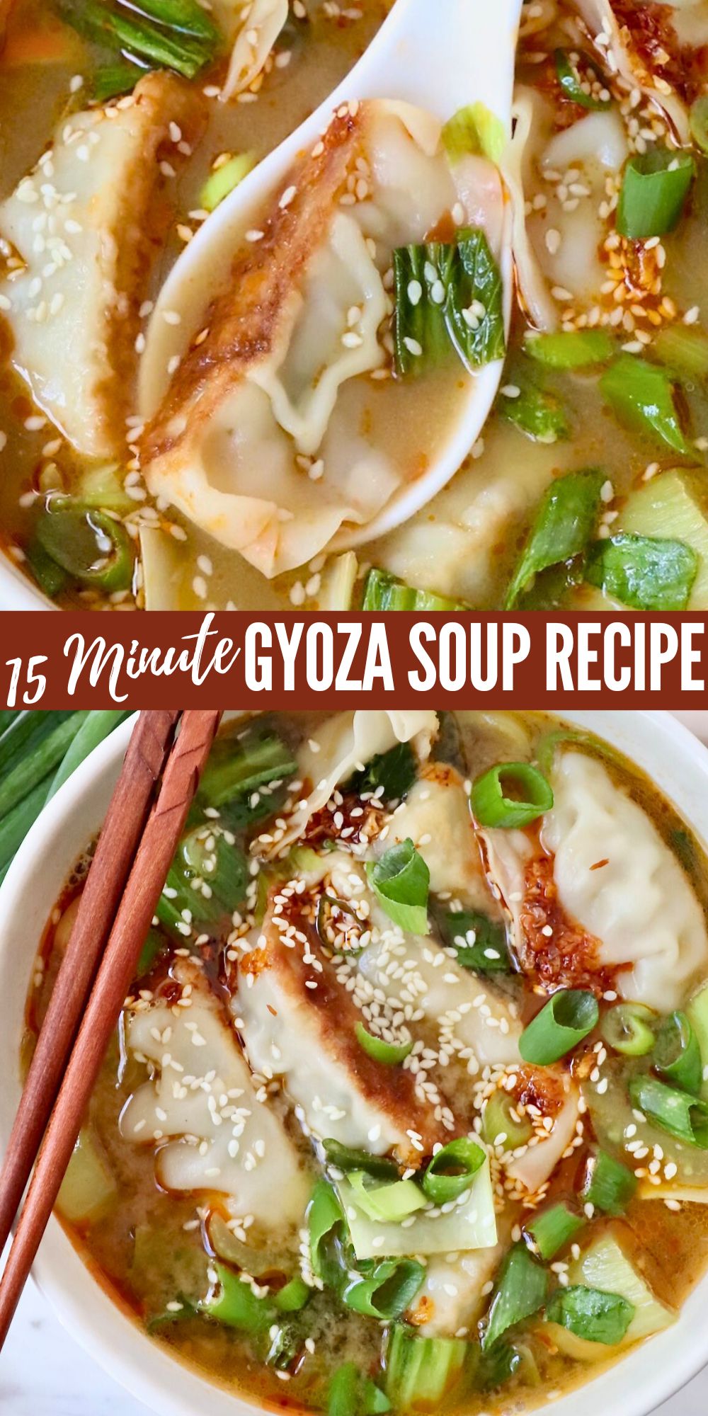 Gyoza Soup (Easy 15 Minute Recipe)