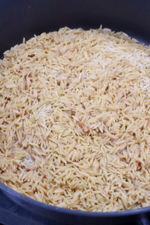 Creamy Garlic Parmesan Orzo