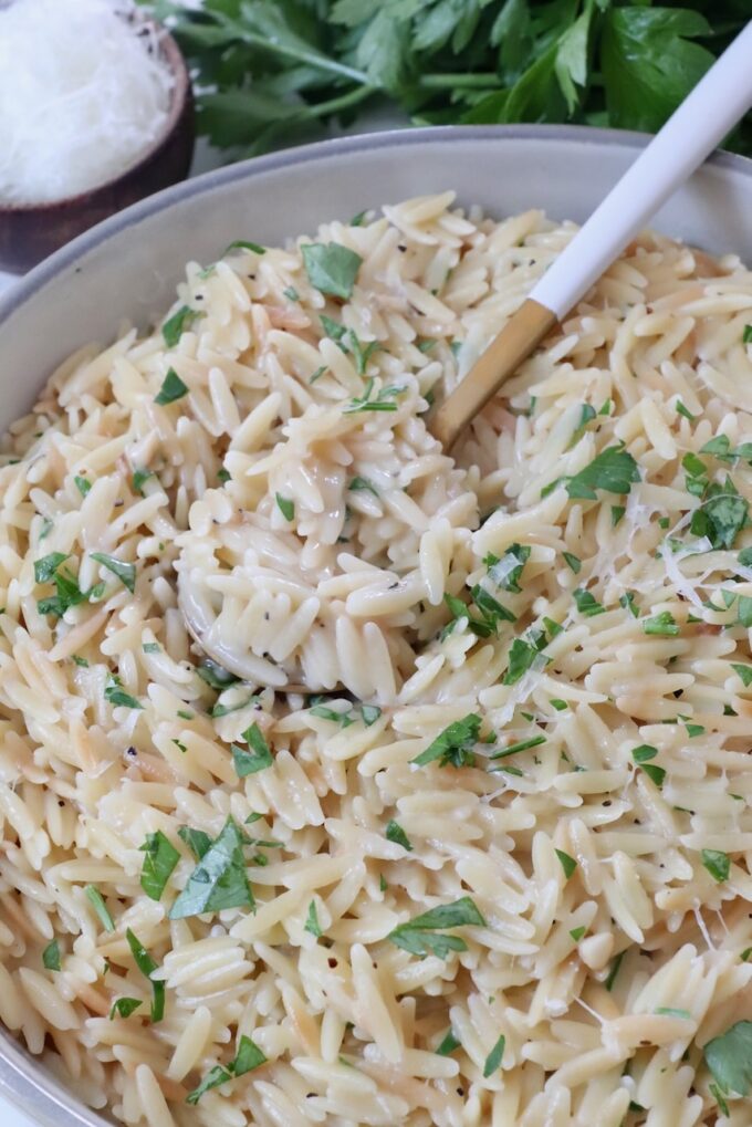 Creamy Garlic Parmesan Orzo