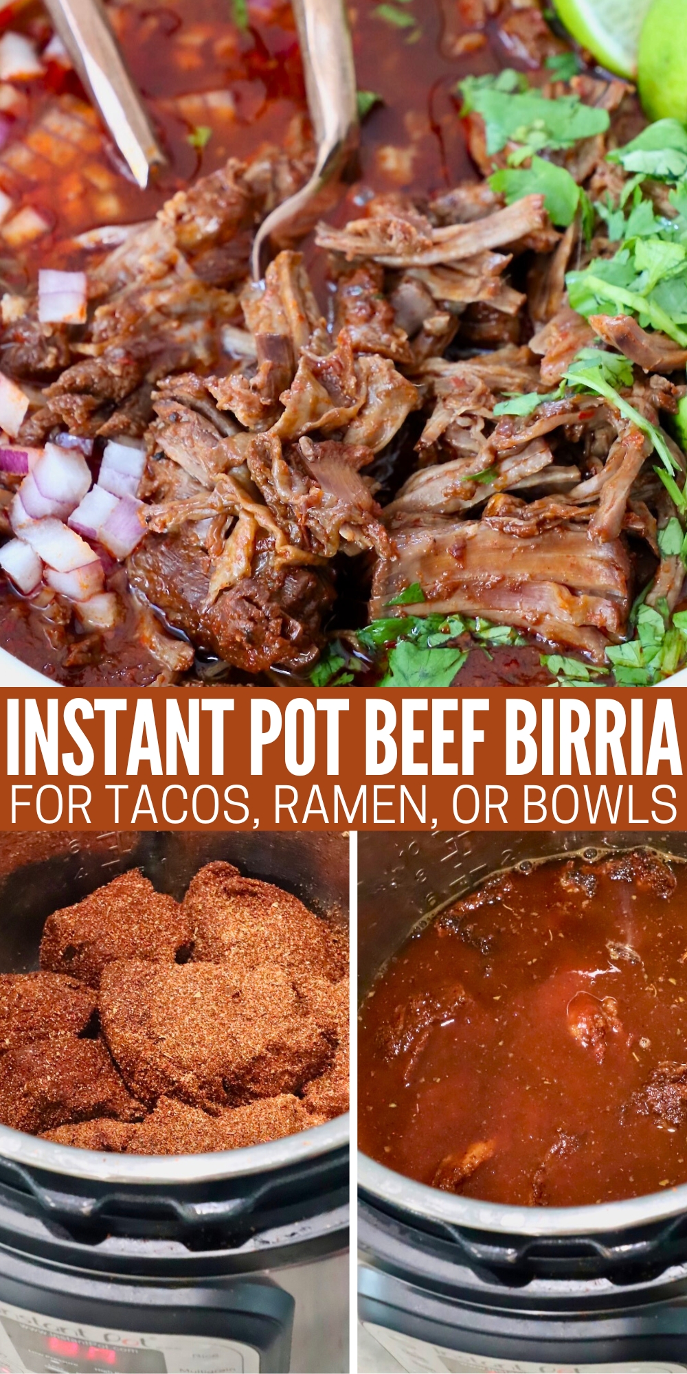 Easy Instant Pot Birria Recipe