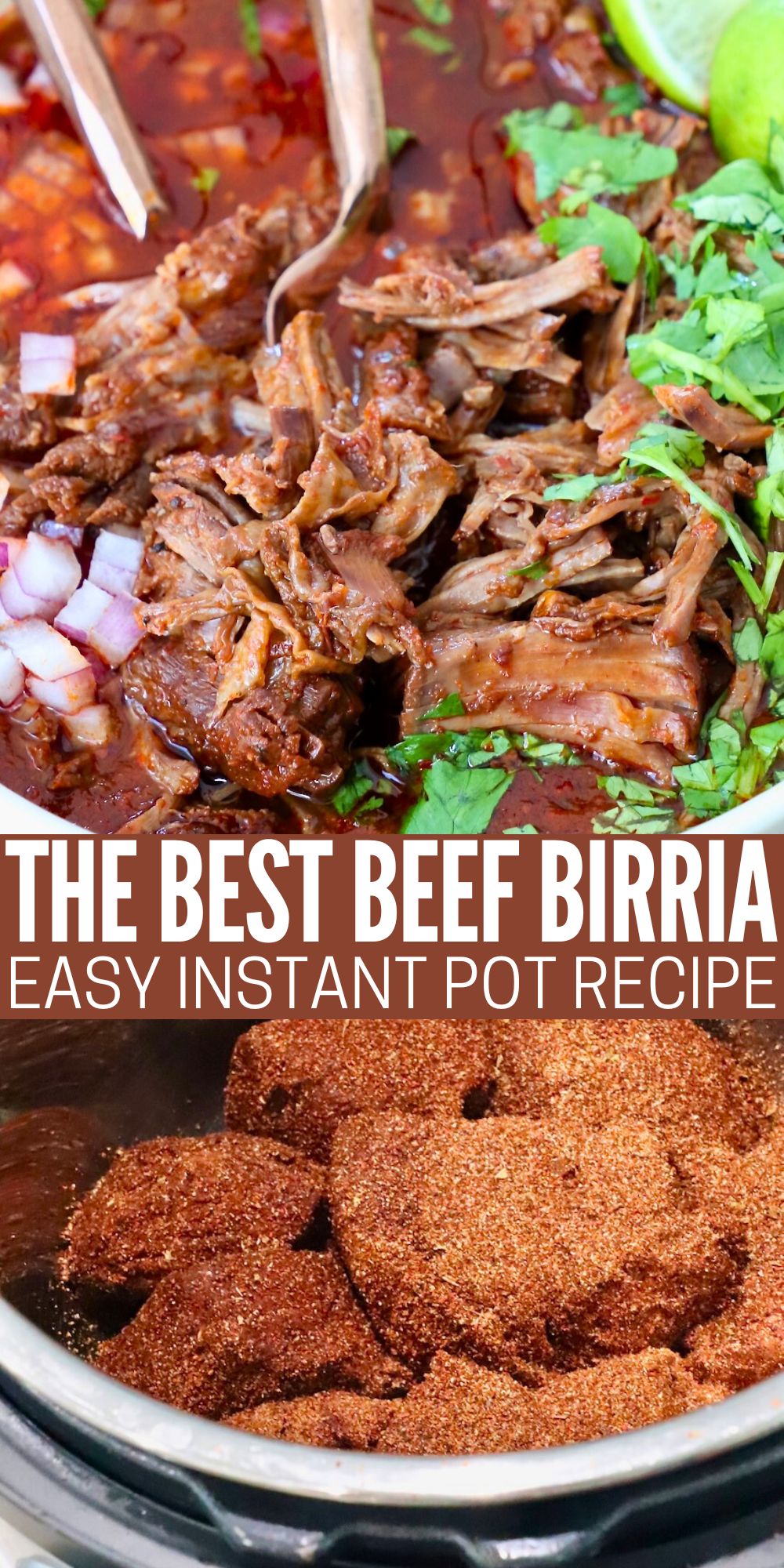 Easy Instant Pot Birria Recipe