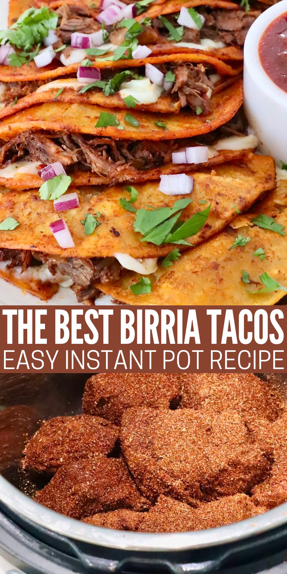 Easy Instant Pot Birria Recipe